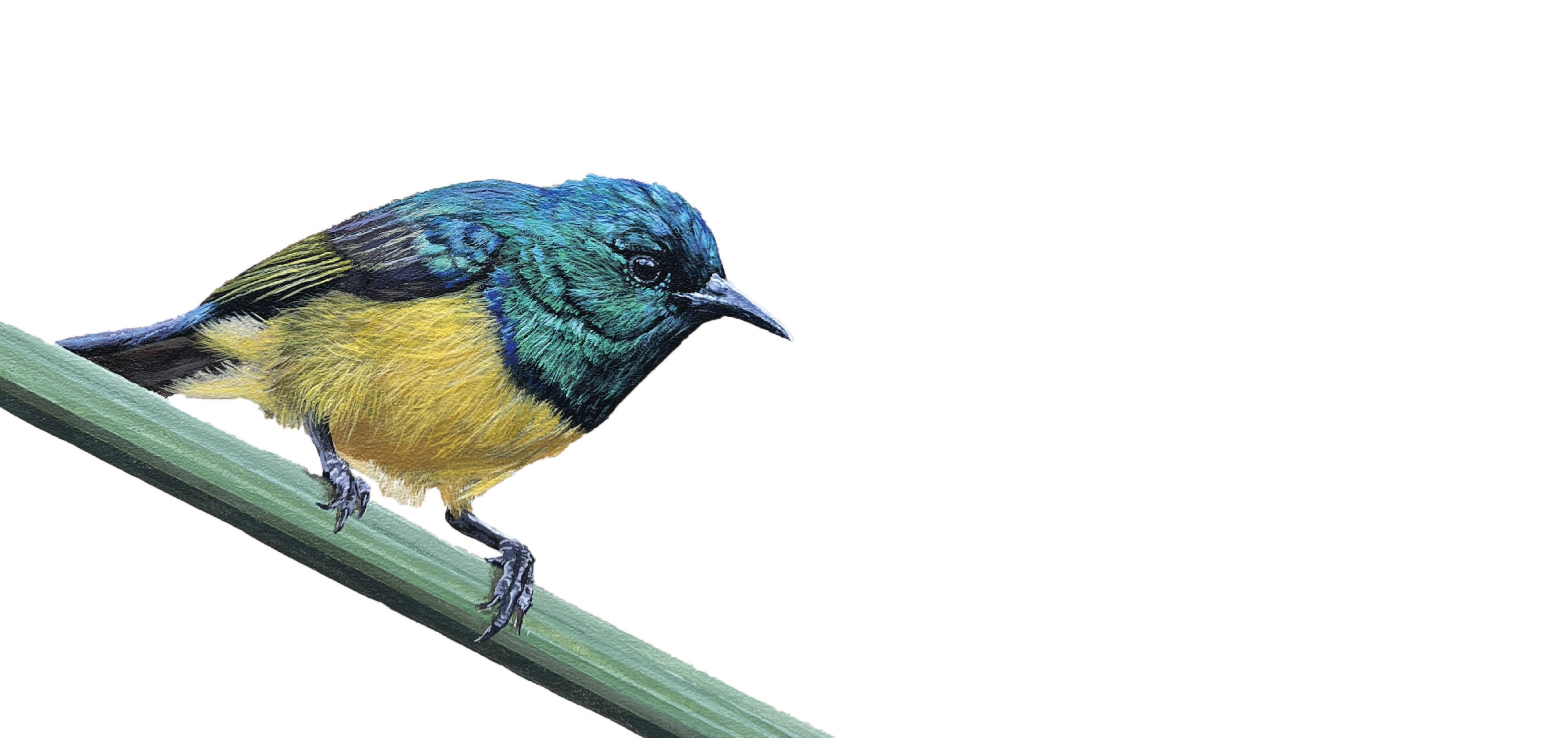 Rouxnette van Wyk Art